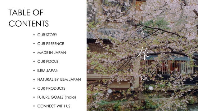 ILEM JAPAN.pdf