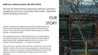 ILEM JAPAN.pdf