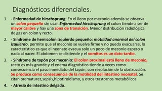 Ileo meconial | PPTX