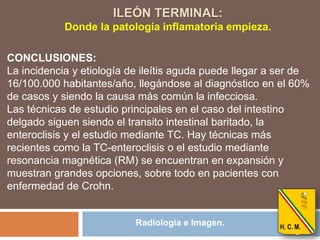 Ecografía De íleon Terminal