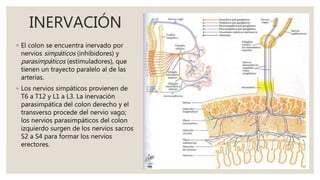 Ileostomía y colostomía | PPTX