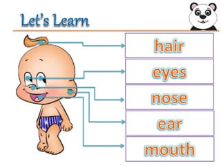 Ile unit 2 lesson 1-2 | PPTX