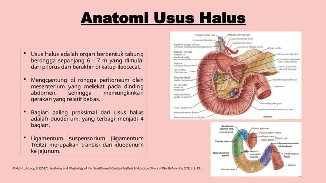 DIAGNOSIS DAN PENATALAKSANAAN ILEUS .pptx