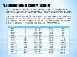 Compensation Plan | PPT