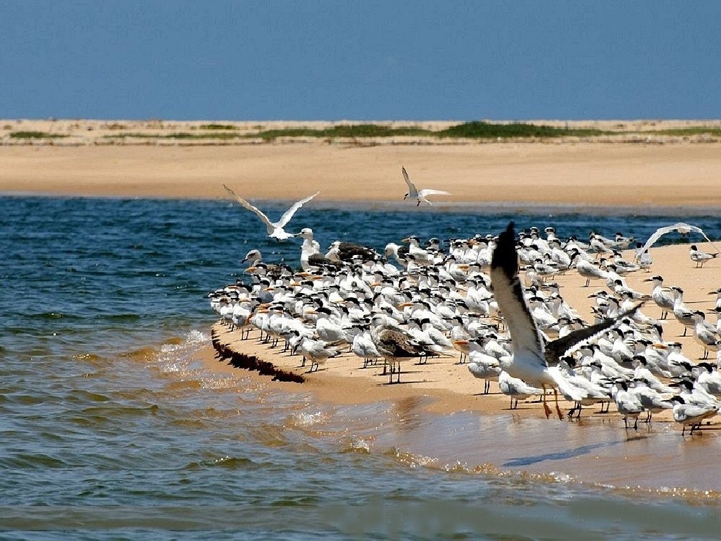 Ilha do Mussulo, Costa Sul de Luanda, Angola.