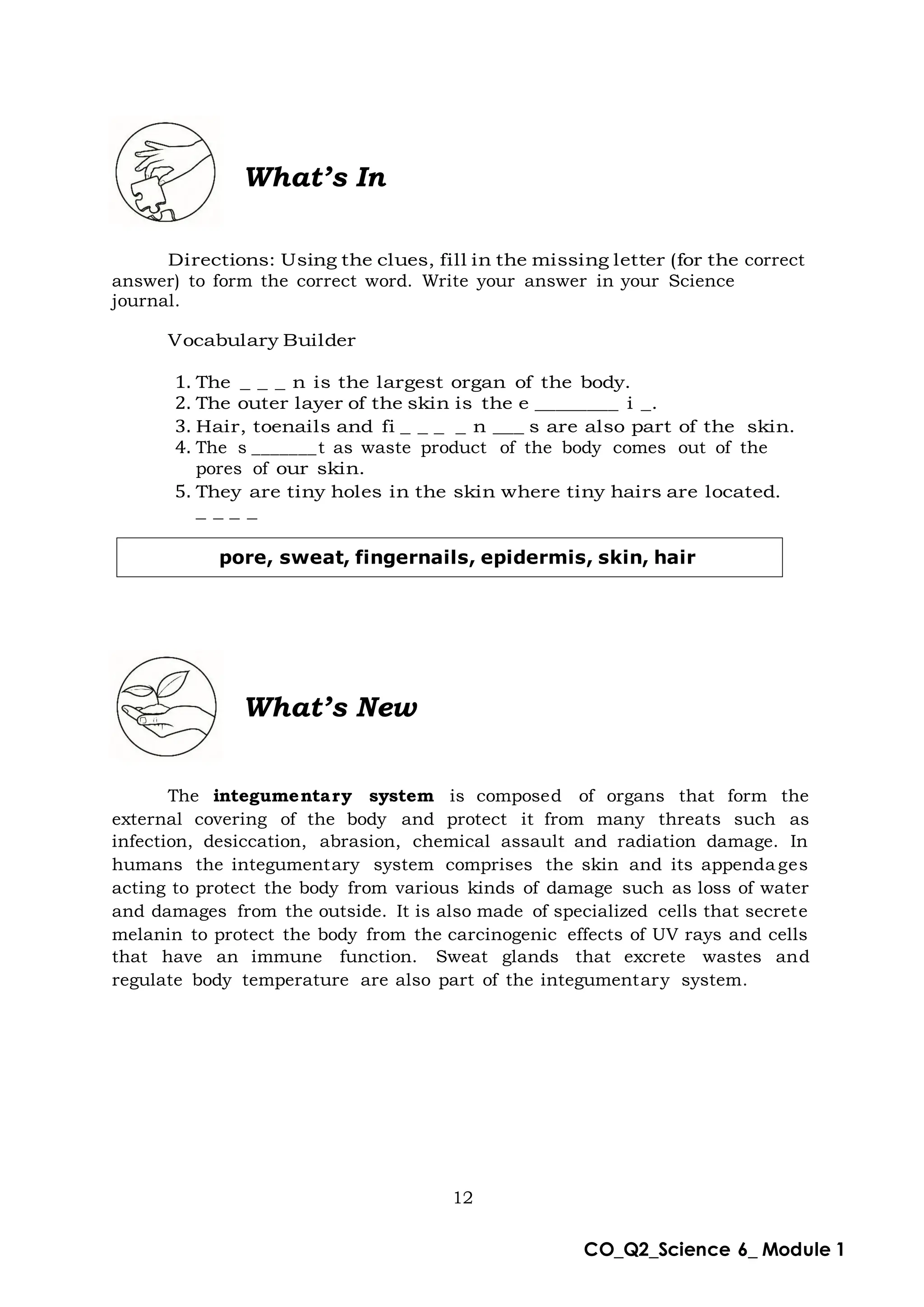 ilide.info-science-quarter-2-module-1-the-human-body-systems-pr ...