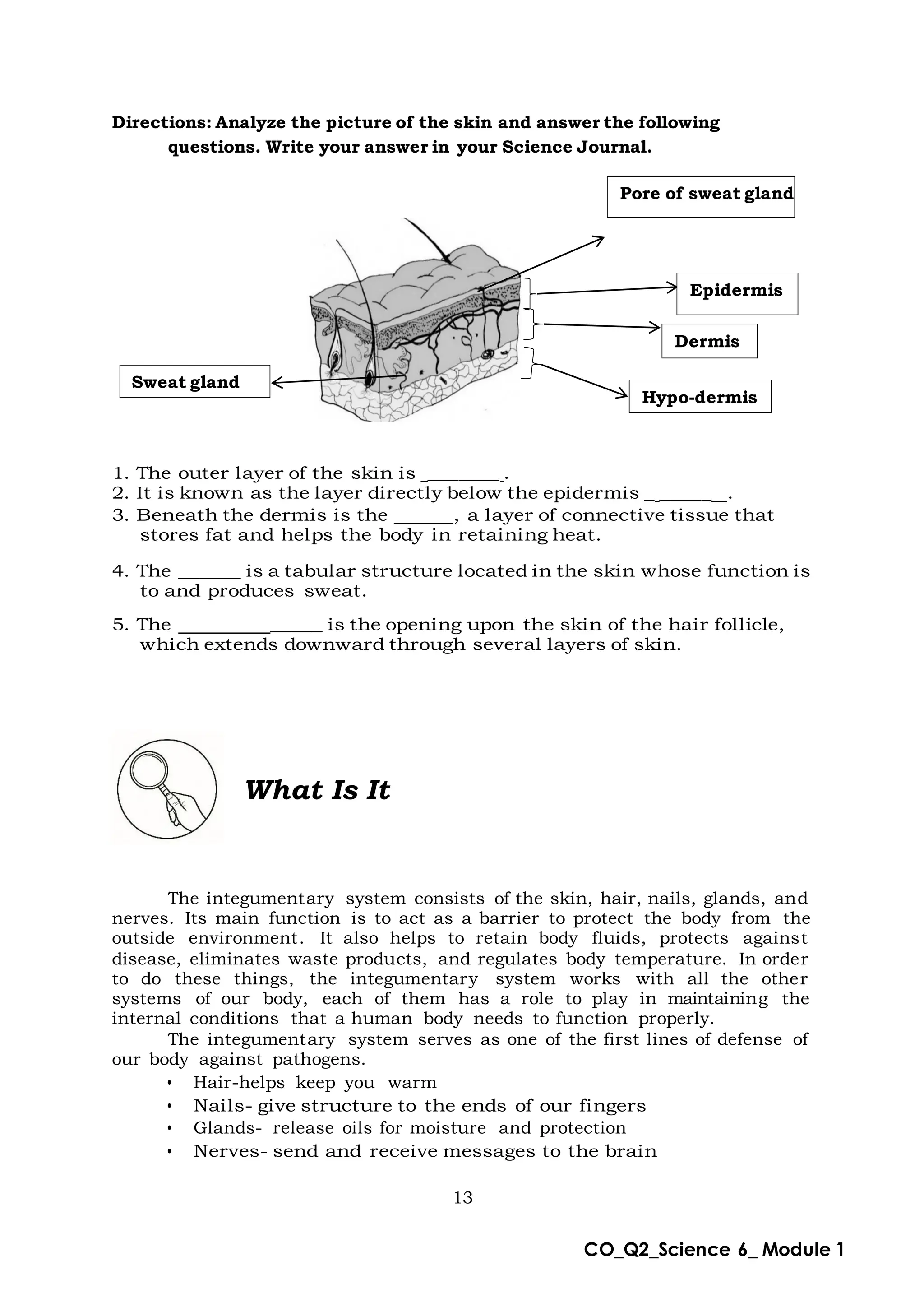 ilide.info-science-quarter-2-module-1-the-human-body-systems-pr ...