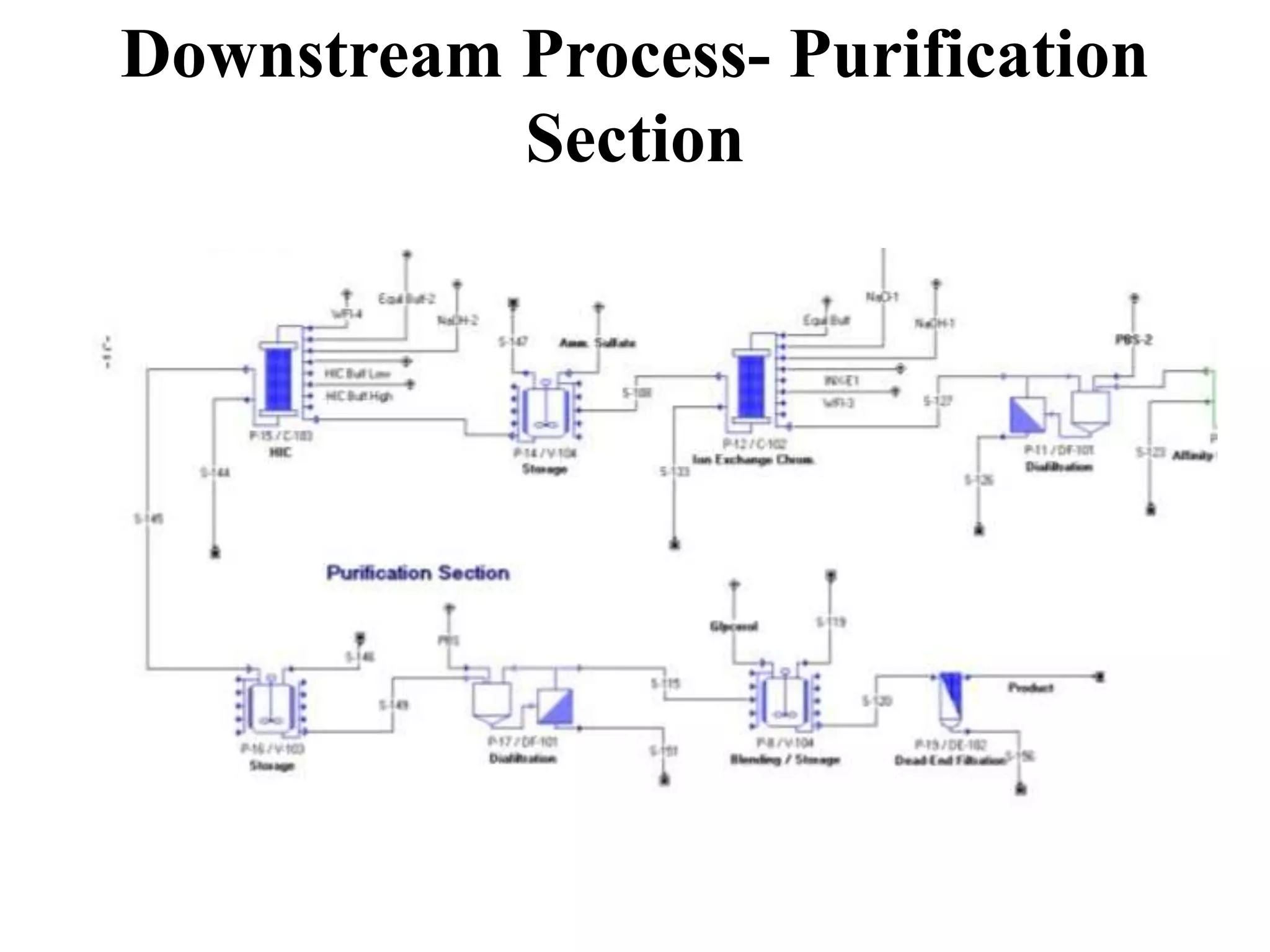 Bioprocess Equipment Design and Economics | PPTX