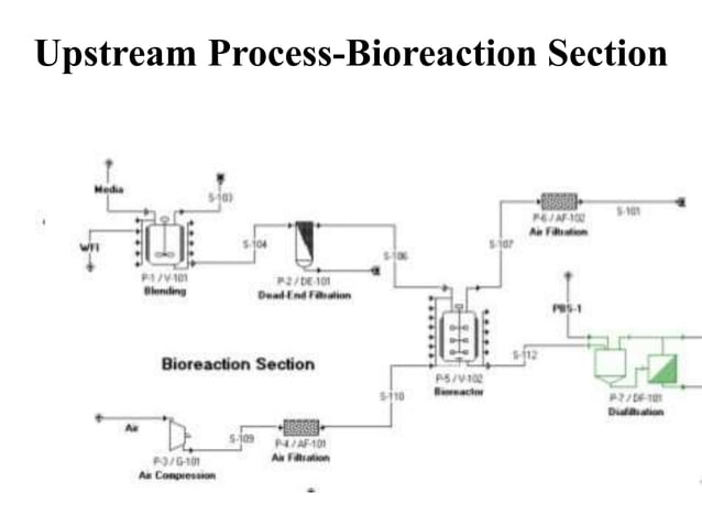Bioprocess Equipment Design and Economics | PPTX | Chemistry | Science