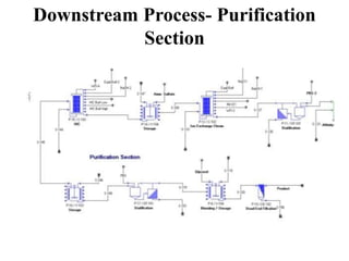 Bioprocess Equipment Design and Economics | PPTX