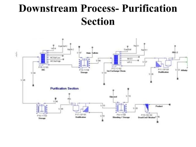 Bioprocess Equipment Design and Economics | PPTX | Chemistry | Science