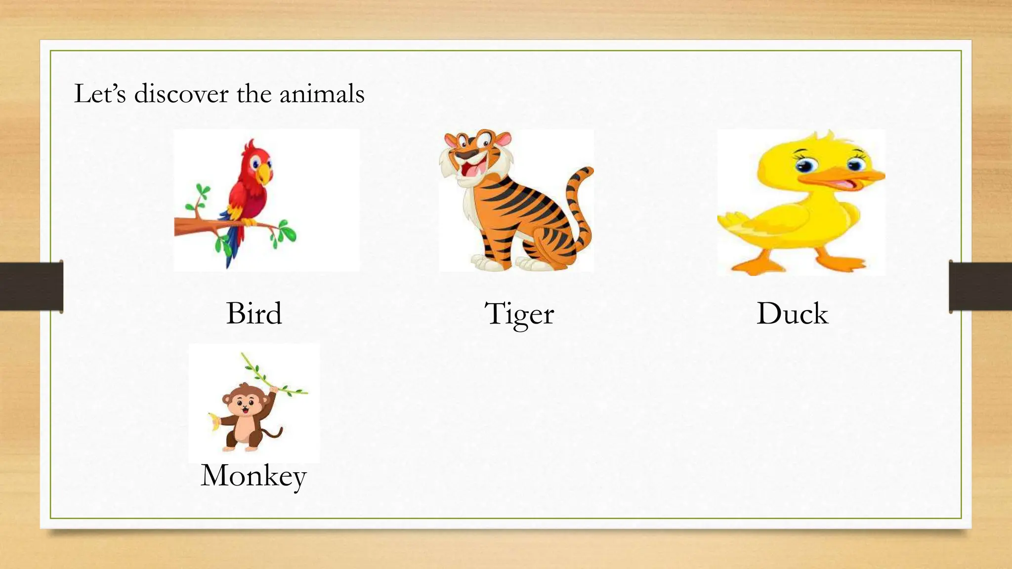 I Like animals animals presintation.pptx