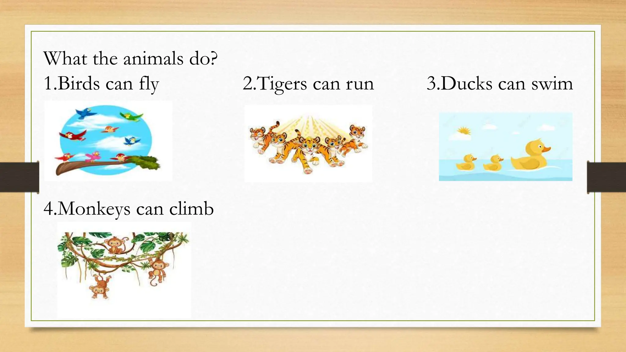 I Like animals animals presintation.pptx