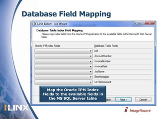 ILINX Export Demo | PPT