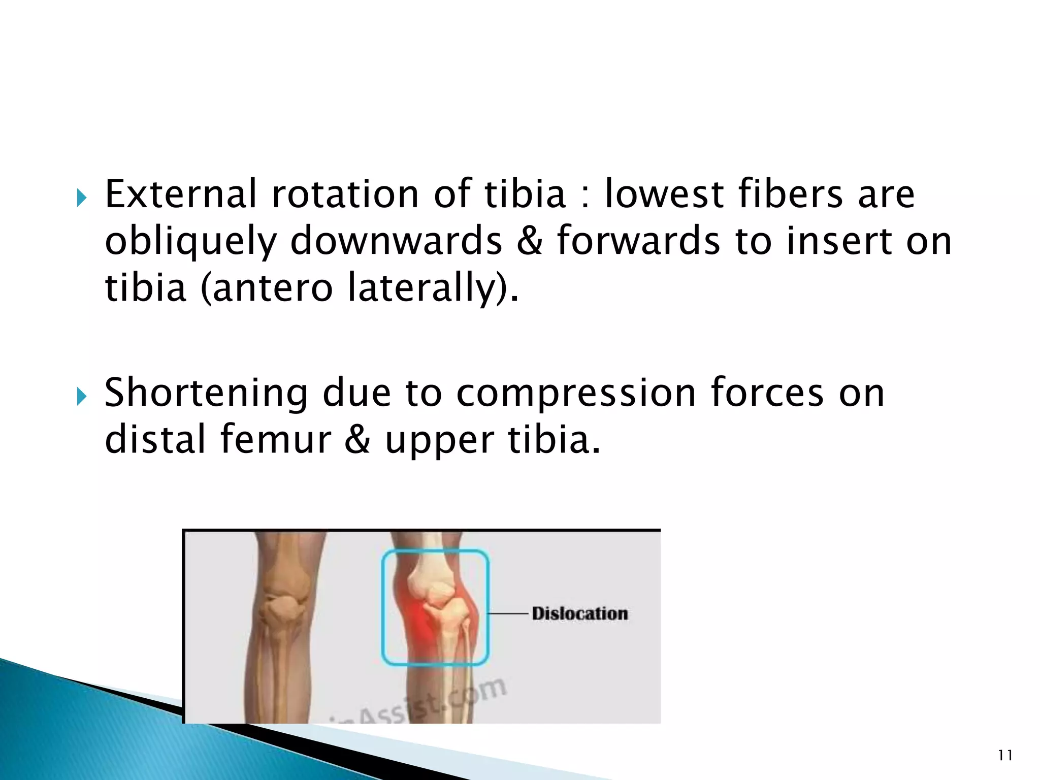 Iliotibial band contracture | PPTX