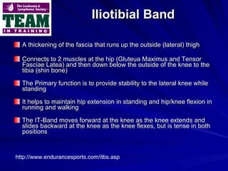 Iliotibial Band Syndrome (Itbs) | PPT