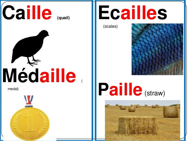 The French sound :ille, aille, euille, ouille. Practice with flash