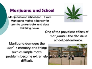 Illegal drugs | PPT