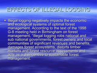 Illegal Logging Cause And Effect