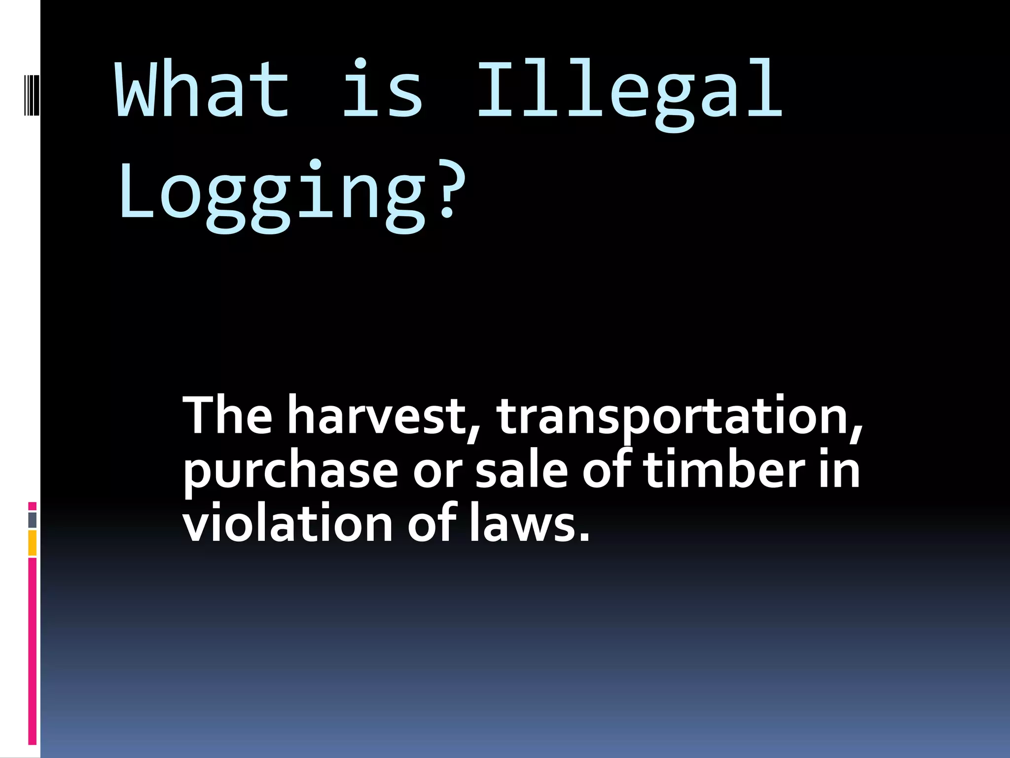 ILLEGAL LOGGING | PPTX