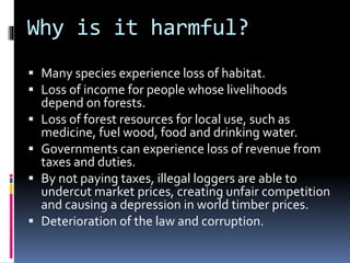 ILLEGAL LOGGING | PPTX