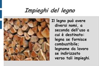 Il legno | PPSX