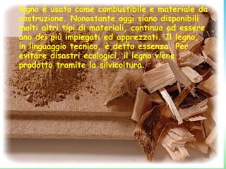 Il legno | PPT