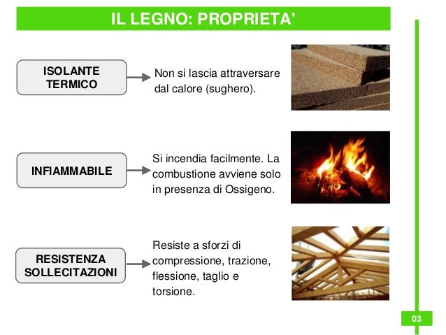 Il legno
