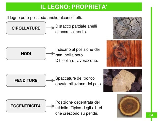 Il legno