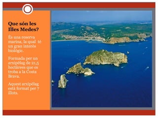 Illes medes sebastian-sandy | PPT
