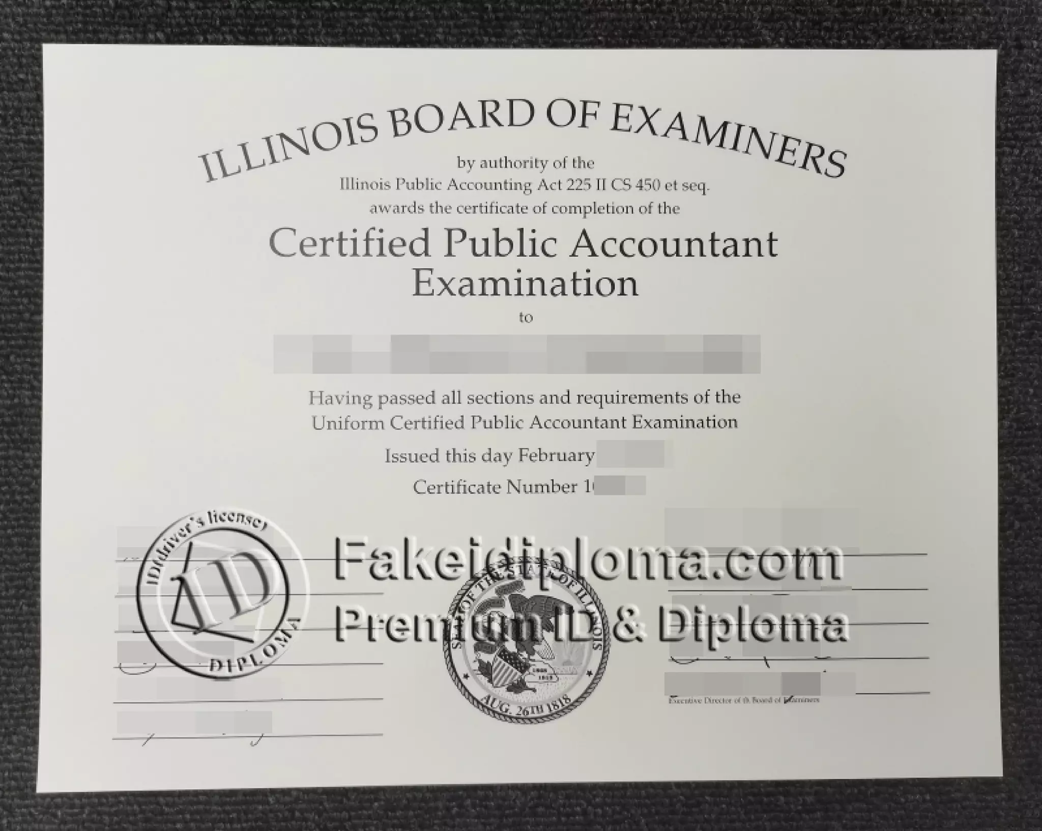 Illinois CPA certificate | PDF