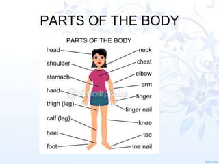 Illness & diseases | PPSX