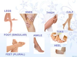 Illness & diseases | PPSX