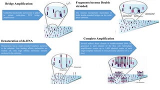 ILLUMINA SEQUENCE.pptx