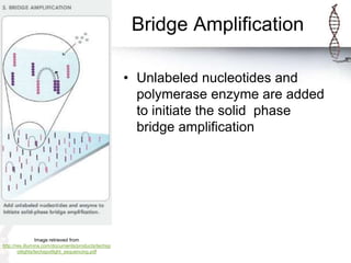 Illumina Sequencing | PPTX
