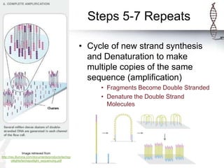 Illumina Next Generation Sequencing