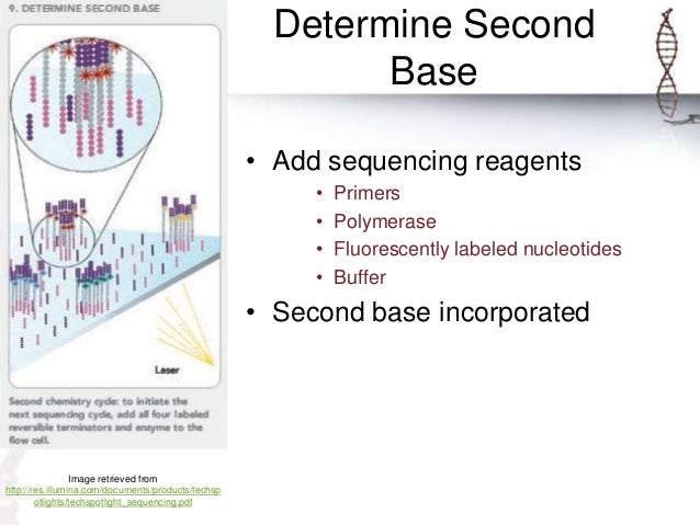 Illumina Sequencing