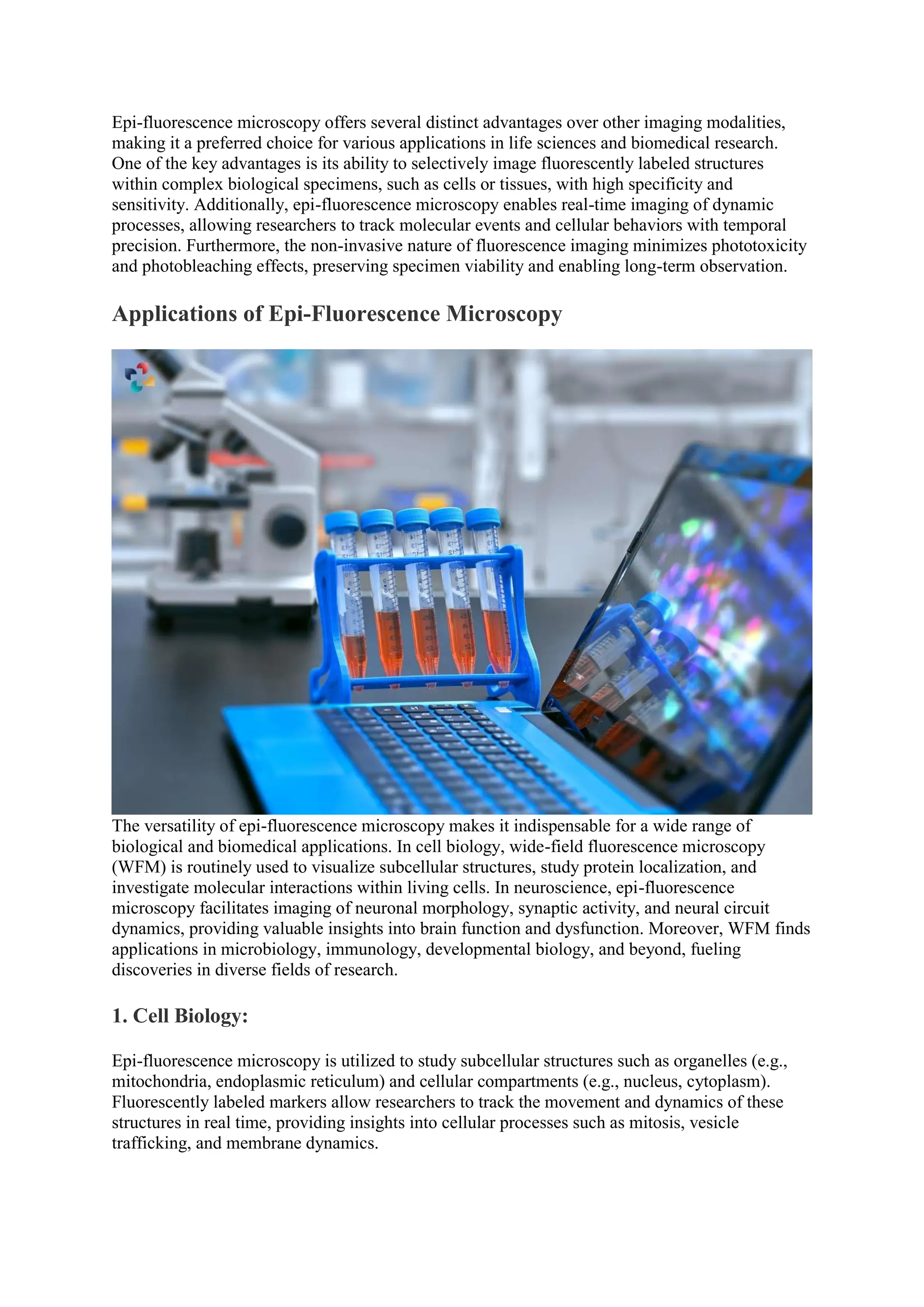 Epi-Fluorescence Microscopy: Explore Its Amazing Powers and Uses | The ...
