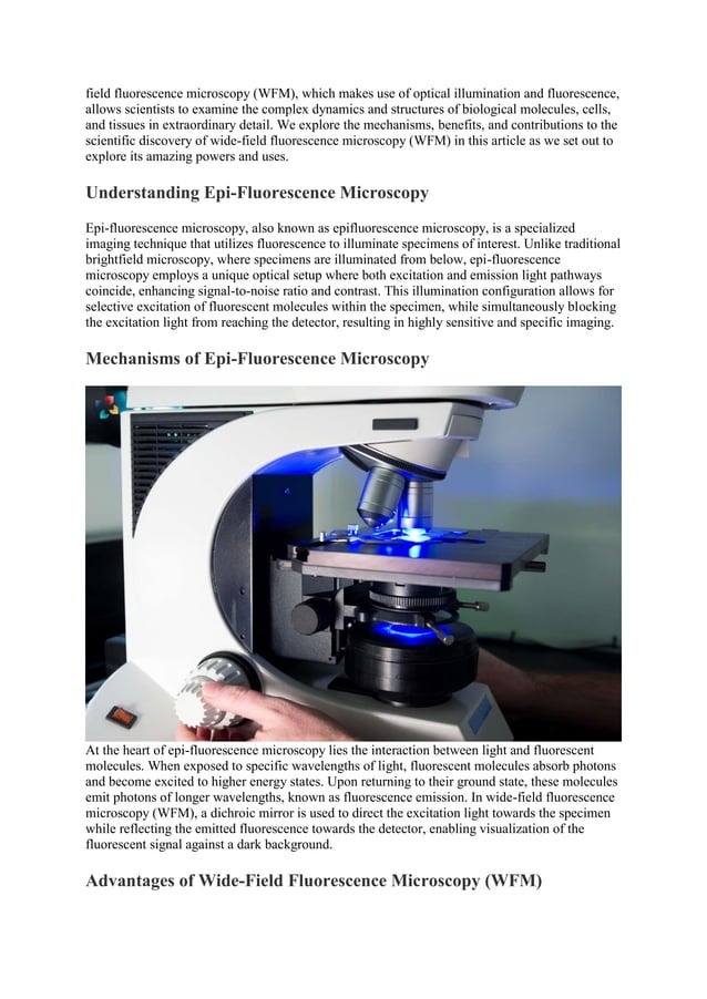 Epi-Fluorescence Microscopy: Explore Its Amazing Powers and Uses | The ...