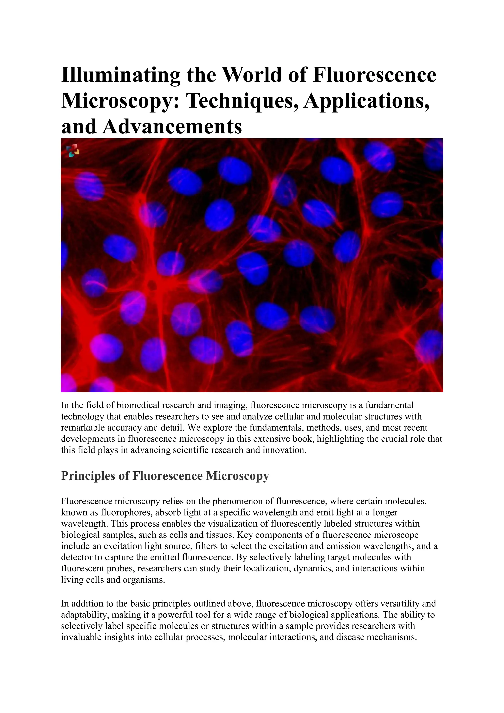 Fluorescence Microscopy Techniques Applications And Advancements The Lifesciences Magazine