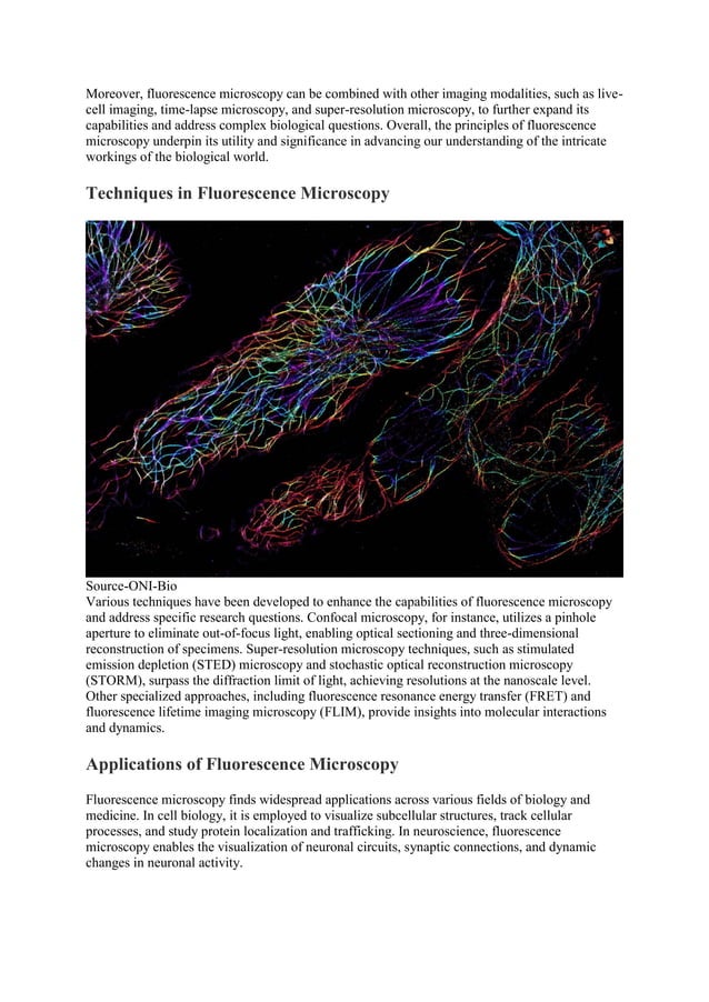 Fluorescence Microscopy: Techniques, Applications, and Advancements ...