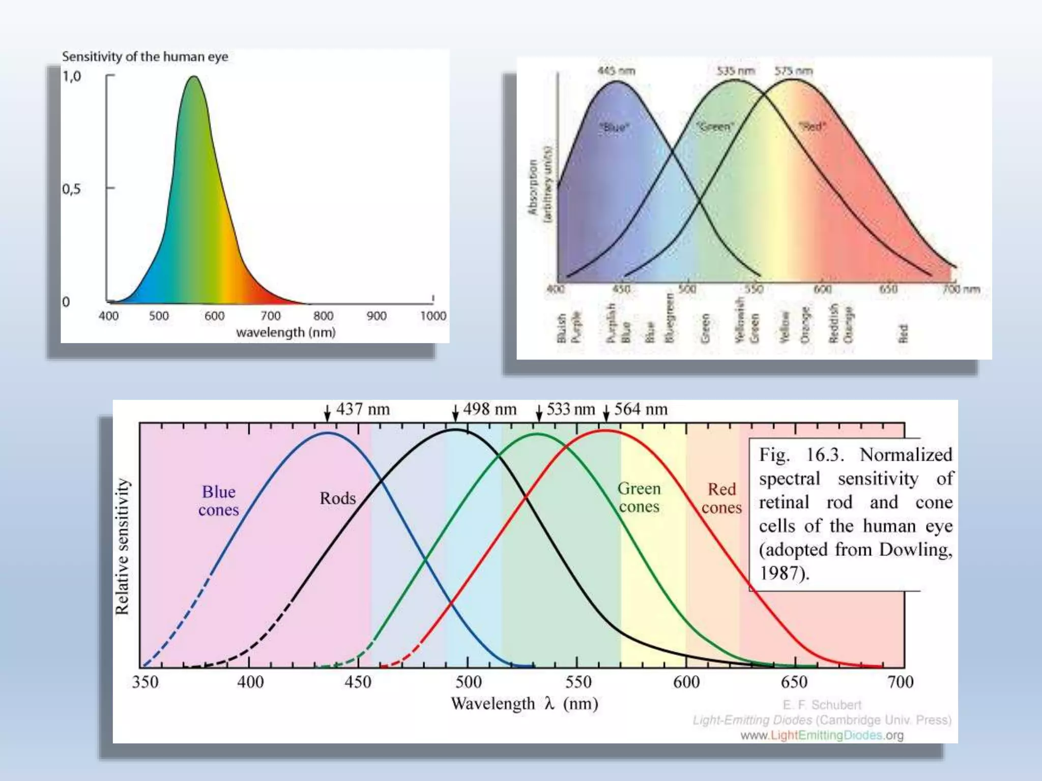 Illumination basic and schemes | PPTX