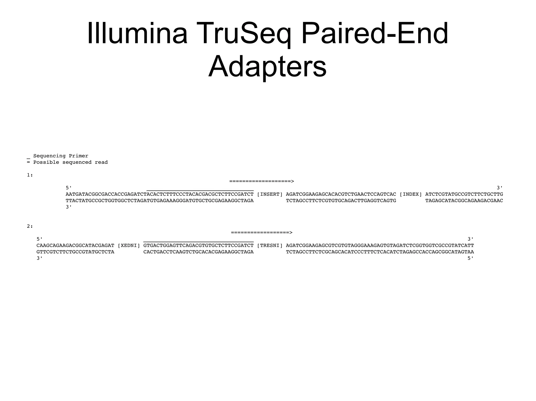 Illumina-truseq-paired-end | PPT