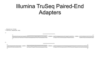 Illumina-truseq-paired-end | PPT