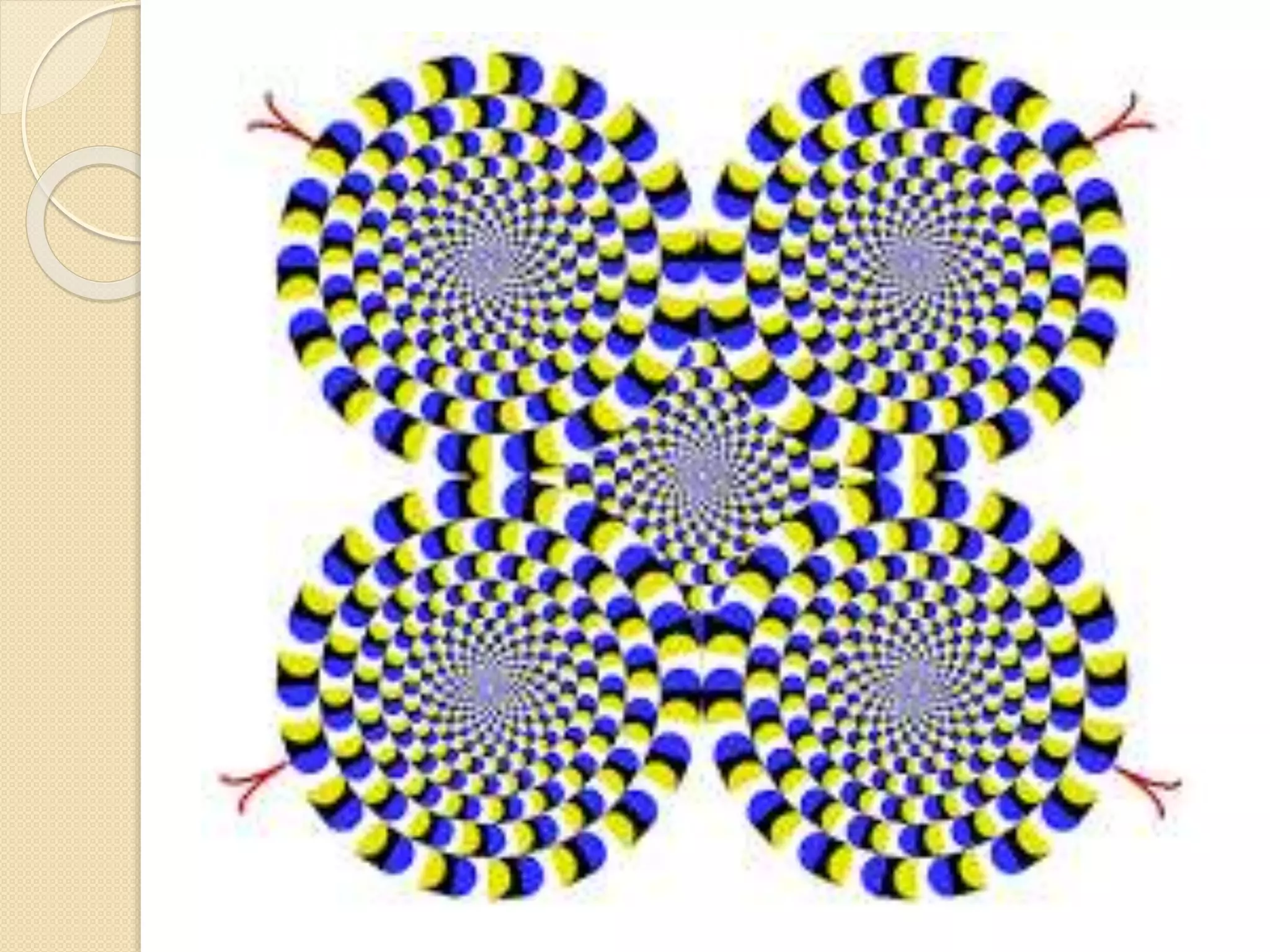 Illusion and hallucination | PPTX