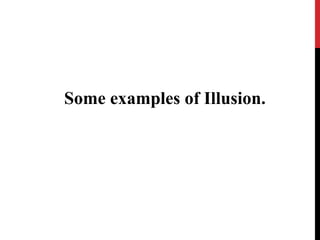 Illusion | PPT