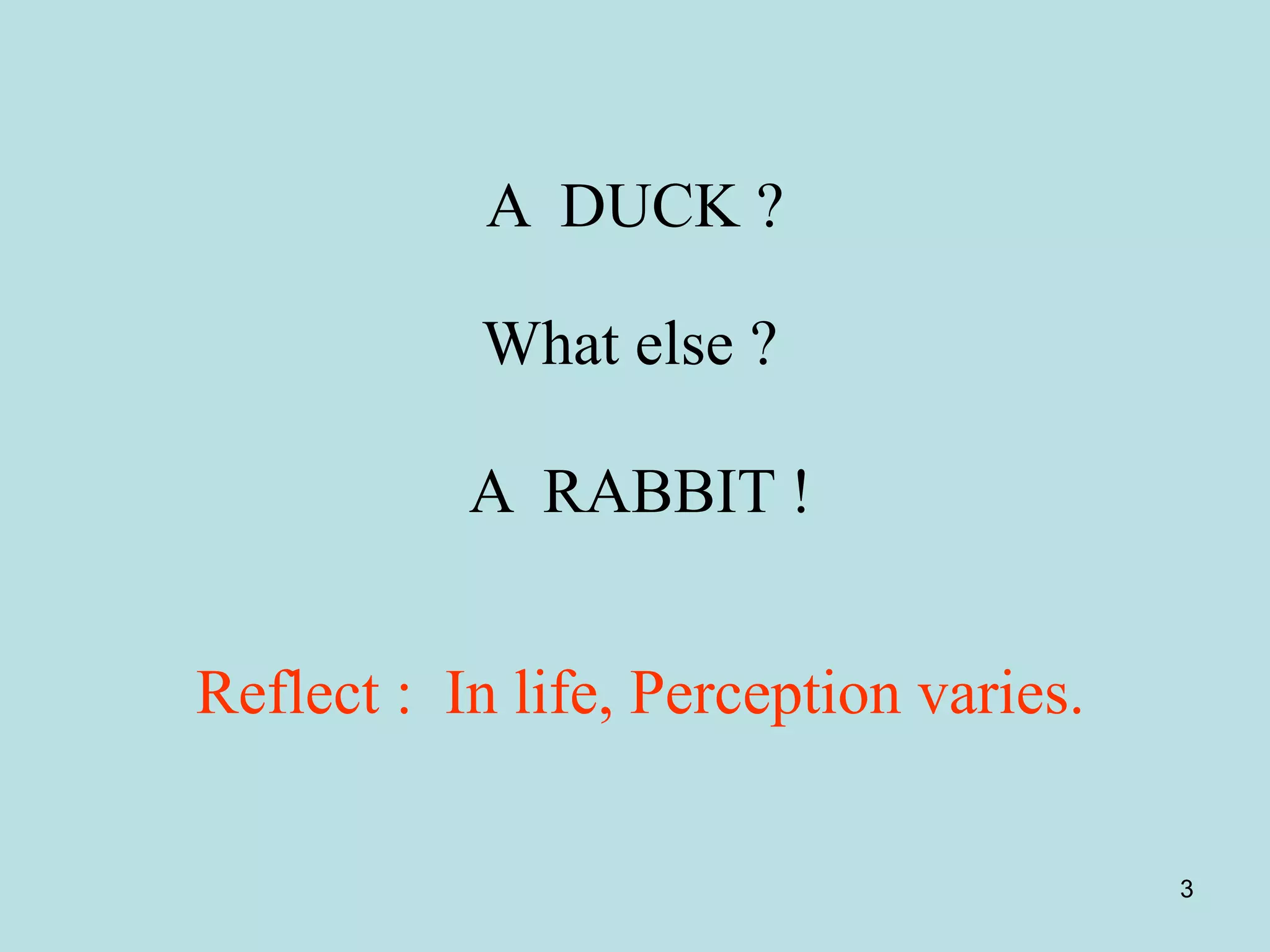 Illusion Or Reality | PPT
