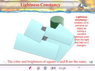 Illusions and Constancies | PPTX