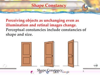 Illusions and Constancies | PPTX