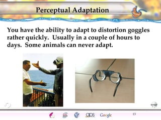 Perceptual Adaptation